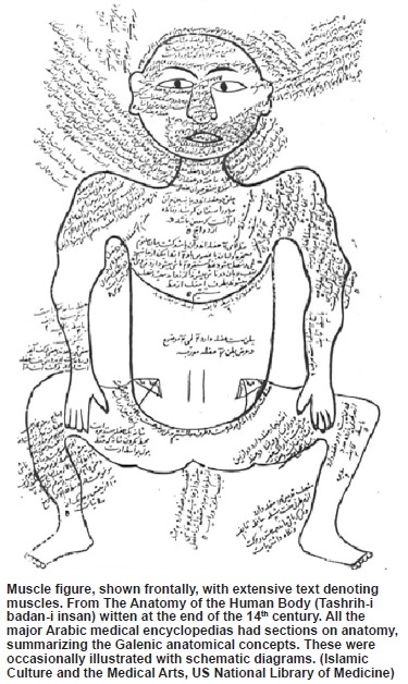 Anatomy - Center for Islamic Study